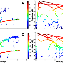Orthogonal projection of the reassigned spectrogram for each separate ...
