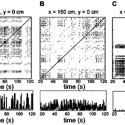 Recurrence plots (upper panels) and corresponding concentration time series (lower panels) for ...
