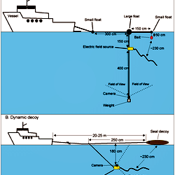 Schematic representation of (A) the experimental set-up used to test ...