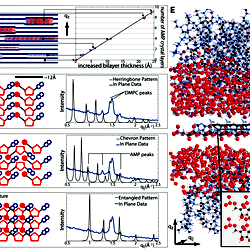 Crystal structure determination.