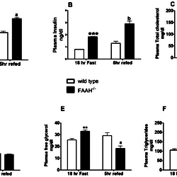 FAAH deficiency causes dyslipidemia.