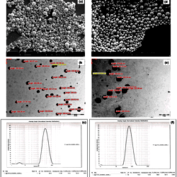 SEM image showing morphology; and Size analysis using measurement ...