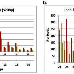 The length distribution of Indels identified by SOAP3-dp and BWA respectively using full set of ...