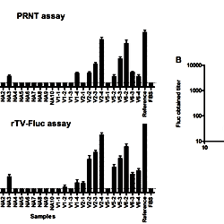 Comparison of two different neutralization assays for the presence of ...