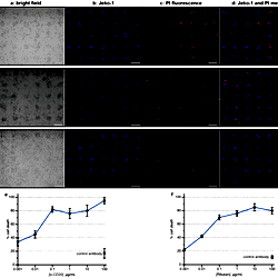 Cell-array ADCC assays.