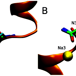 The N310 configurations in the closed and open structures contrasted ...