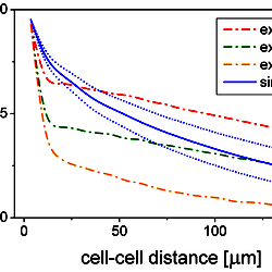 Cell-cell alignment.