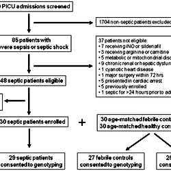 Patient screening and study enrollment.
