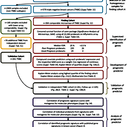 Development and validation of prognostic predictors according to REMARK ...