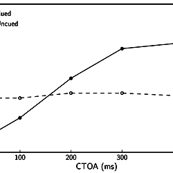 Simulations without temporal expectation.