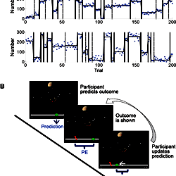 The predictive-inference task.