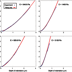 Typical force-distance curves obtained from the AFM indentation ...