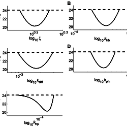 Profile likelihood parameter uncertainties for the proposed model.