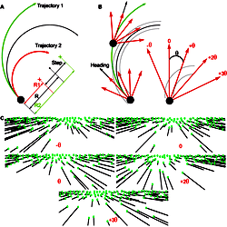 Examples of trajectories and camera orientations used in the experiment.