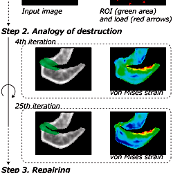 Flow chart of the proposed segmentation algorithm.