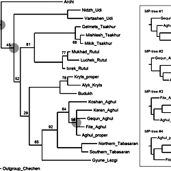 Etymology-based consensus phylogenetic tree of the Lezgian lects ...