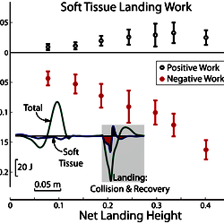 Soft Tissue work after touchdown in Preferred landing.