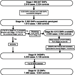 Overview of the study design.