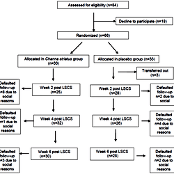 Flowchart of the study.