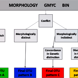 OTU definition criteria.