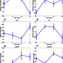 Selection percentage for different patch sizes.