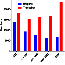 Distribution of transcripts and unigene length in the S. furcifera ...