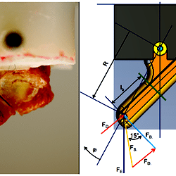 Specimen fixation and forces.