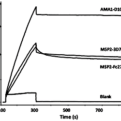 SPR Sensogram for one representative plasma sample.