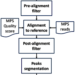MPS workflow.