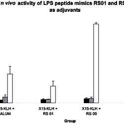 RS09 functions as an adjuvant in vivo.