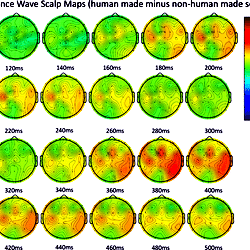 Scalp maps of difference wave (human made minus non-human made sounds ...