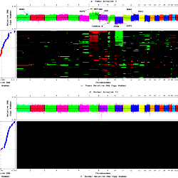 Significant probelets and corresponding tumor and normal arraylets ...