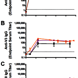 Binding antibody responses in rabbits co-immunized with Env(V3)-E2 ...