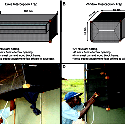Diagrammatic illustration of eave trap and window trap.