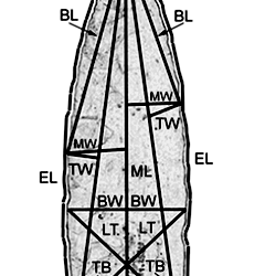 Image of a Clovis point from Blackwater Draw, NM, showing approximate ...