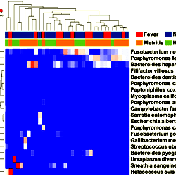 Heat map analysis with the dendrogram based on Euclidean distance.