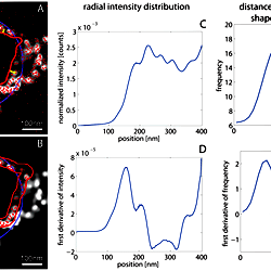 Analysis of mesh-like structures.