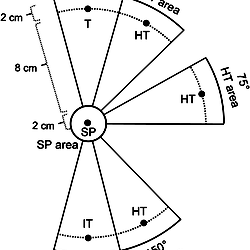 Different gaze areas used for analysis of gaze locations.