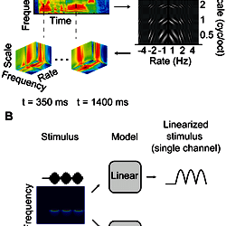 Schematic of nonlinear modulation model.