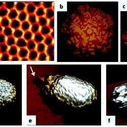 High resolution FM-AFM. Seeing individual features.