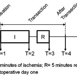Timeline of sample collection.