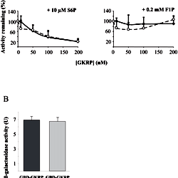 Effect of mutation p.Ala449Thr on the GK interaction with GKRP.