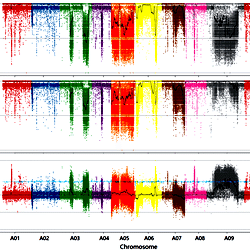 SNP Index and ΔSNP Index Manhattan Plots.