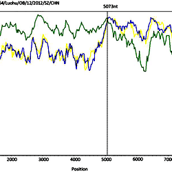 Simplot analysis for of putative, recombinant JB031230054 strain.