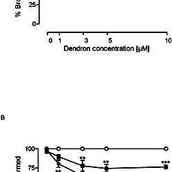 Dendron effect on glioblastoma cells proliferation.