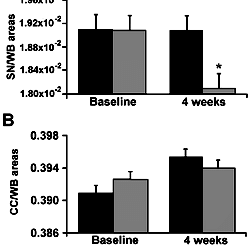 SN/WB and CC/WB areas modifications after PSI treatments.