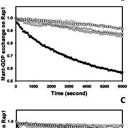 Identification of EPAC antagonists from HTS screen.
