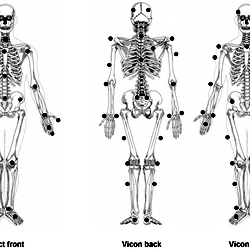 Illustration of marker locations for Kinect skeleton model and Vicon ...