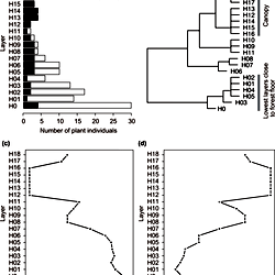 Summary of the vertical stratification of host plants.