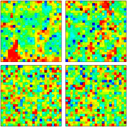 Sample Continuous Value Heat-maps of the Extent of Neighborhoods.